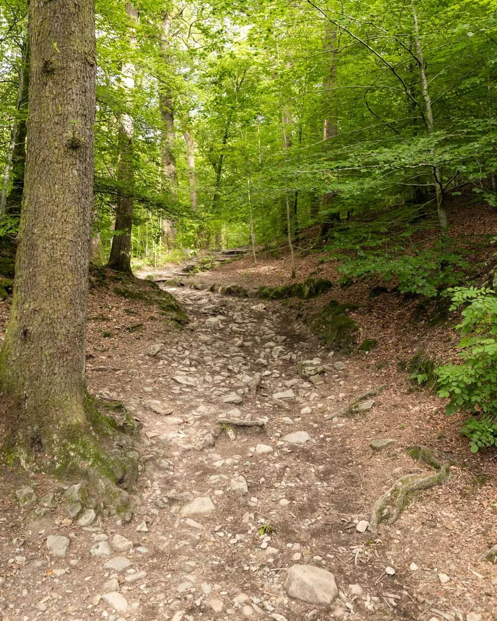 Stock Ghyll Force: Ambleside's beautiful ravine waterfall — Walk My World