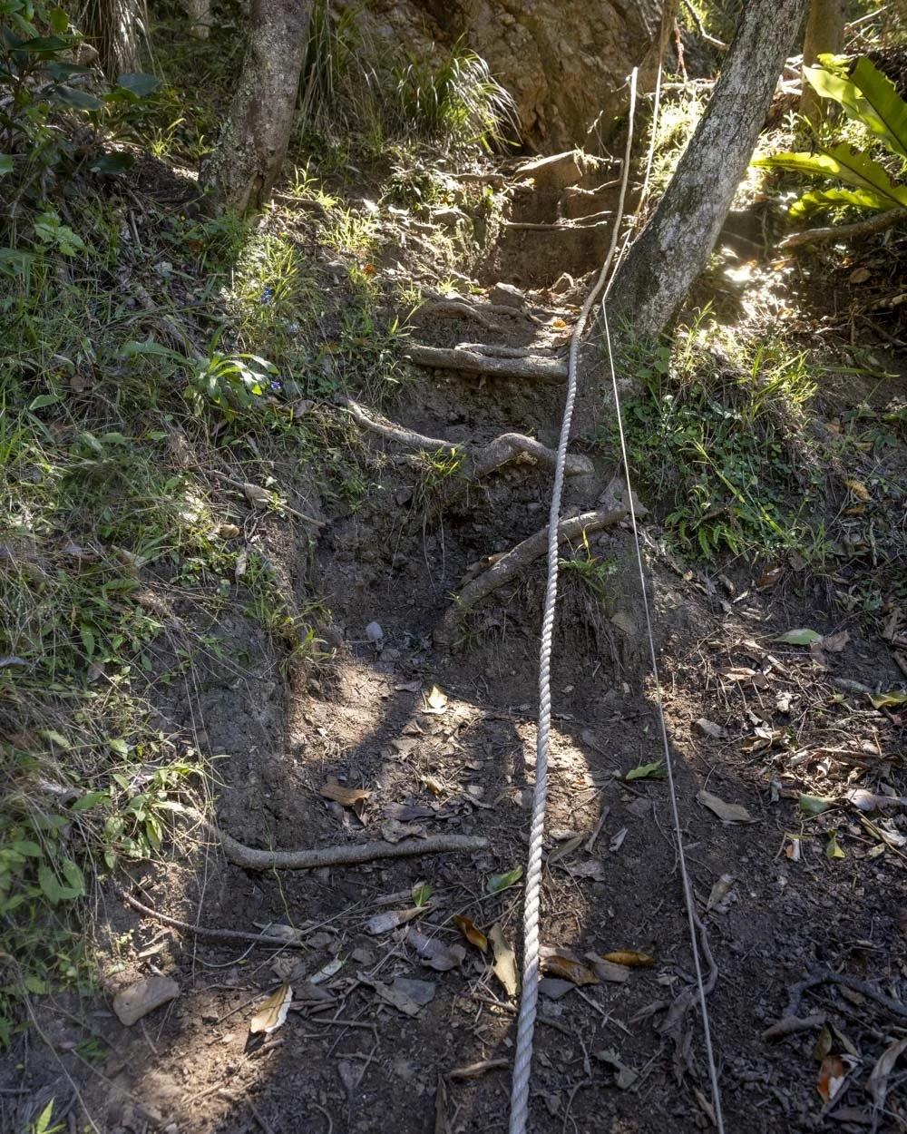 How to find Forster's magical Fairy Pool — Walk My World