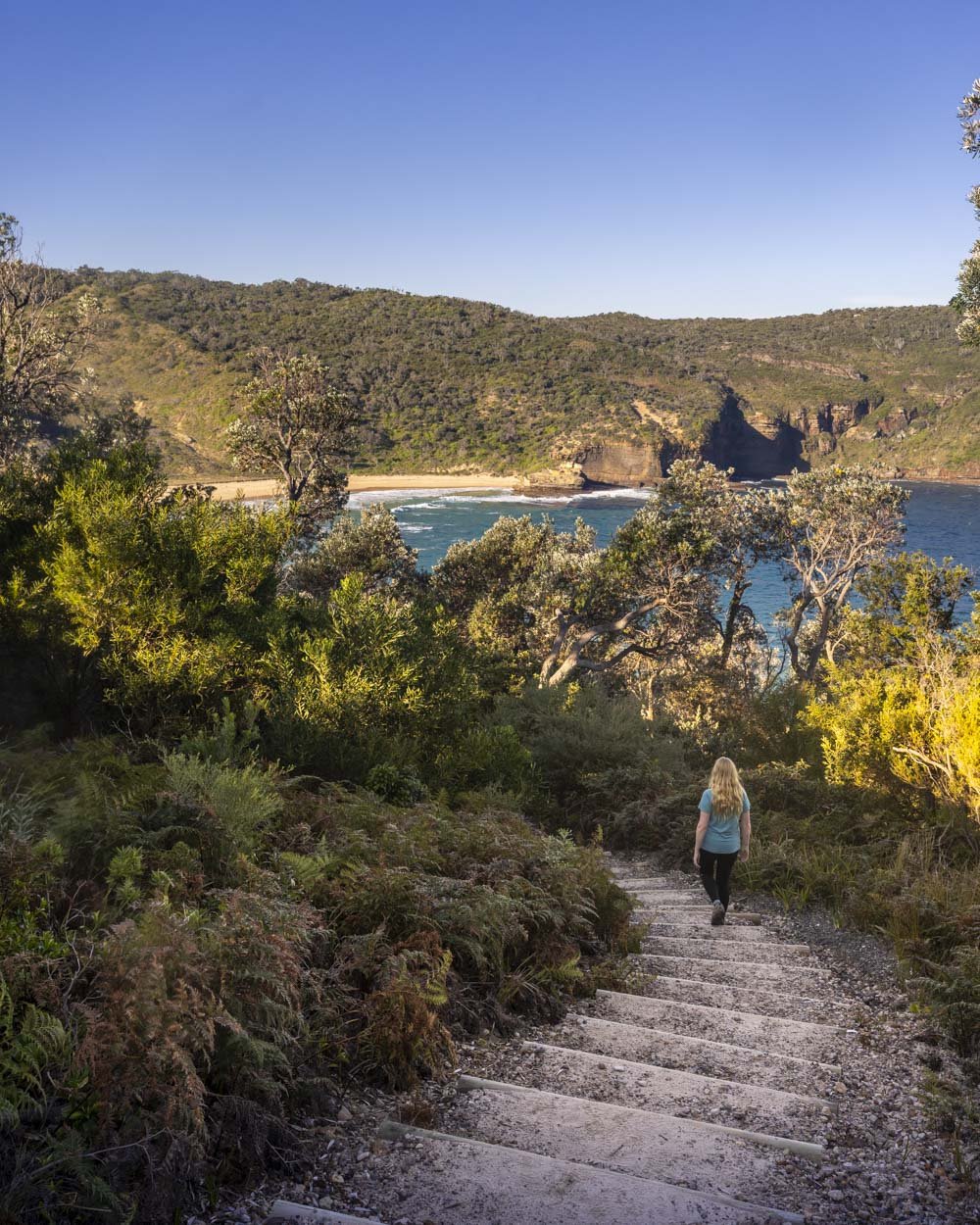 Steamers Beach: a wild & secluded beach in Jervis Bay — Walk My World