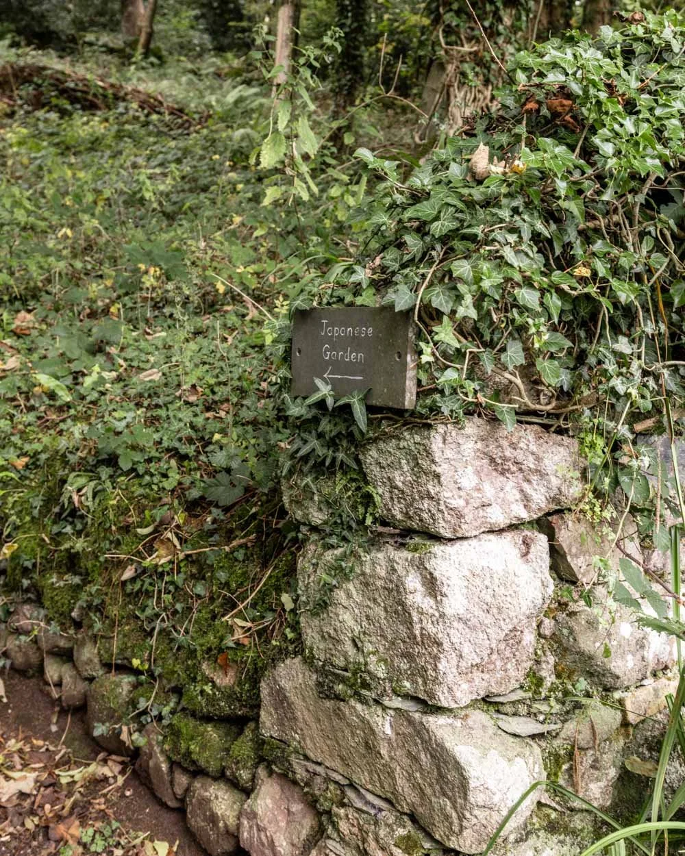 The Giggle Alley Japanese Garden: Eskdale's hidden autumn wonderland ...