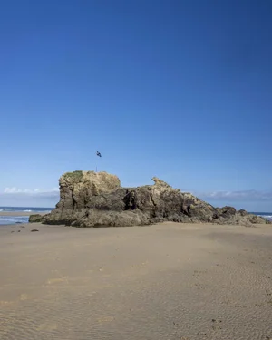 Chapel Rock Pool: Cornwall's most unusual tidal pool — Walk My World