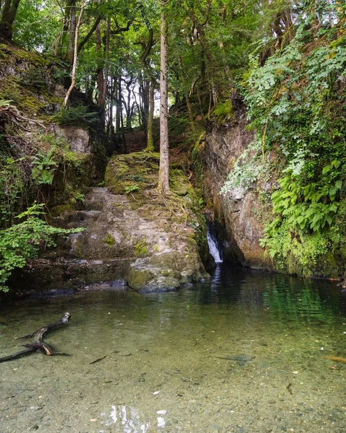 Ffynone Waterfall: wild swimming in Pembrokeshire's hidden fairy grotto ...