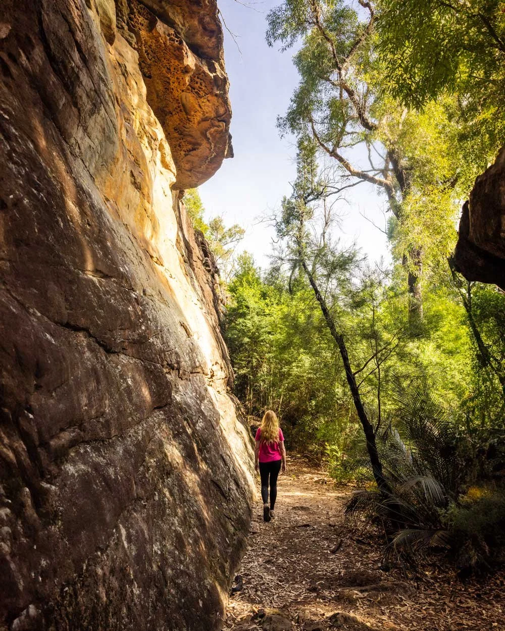How to find the Bugong secret grotto near Nowra — Walk My World