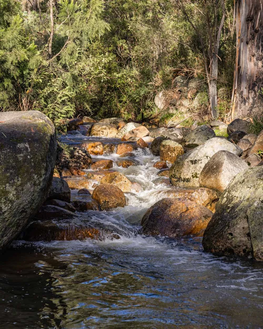 25 things to do in Canberra that are anything but boring — Walk My World