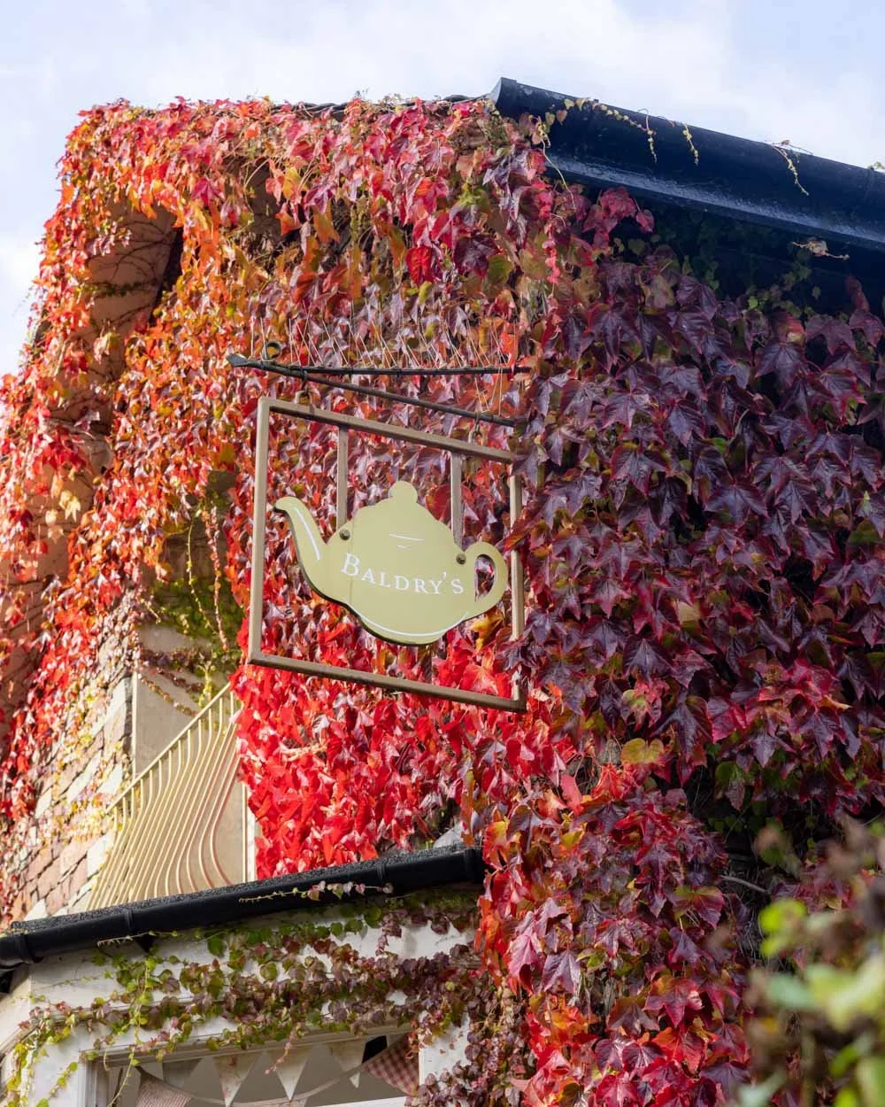 16 amazing things to do in Grasmere including the best of its wild side ...