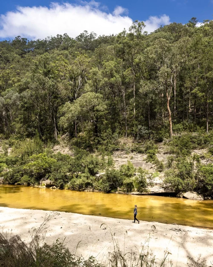 The spectacular Vale of Avoca Track: remote beaches and crystal clear ...