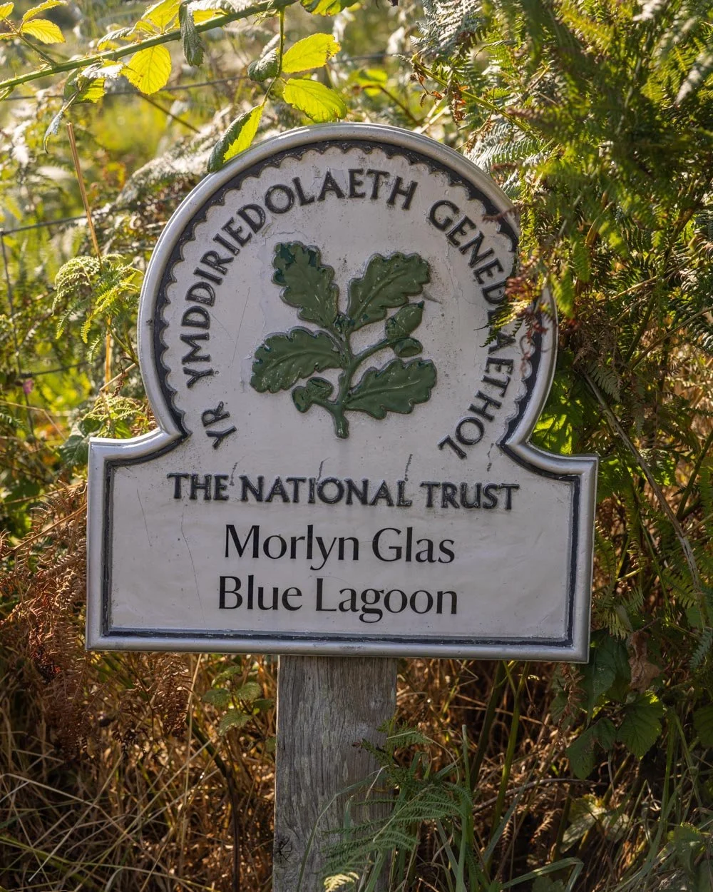 The magic of wild swimming in Pembrokeshire's incredible Blue Lagoon ...