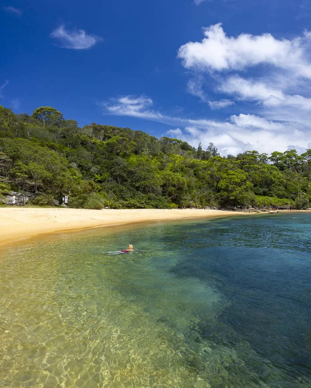 Store Beach: how to reach the most beautiful beach in Manly without a ...