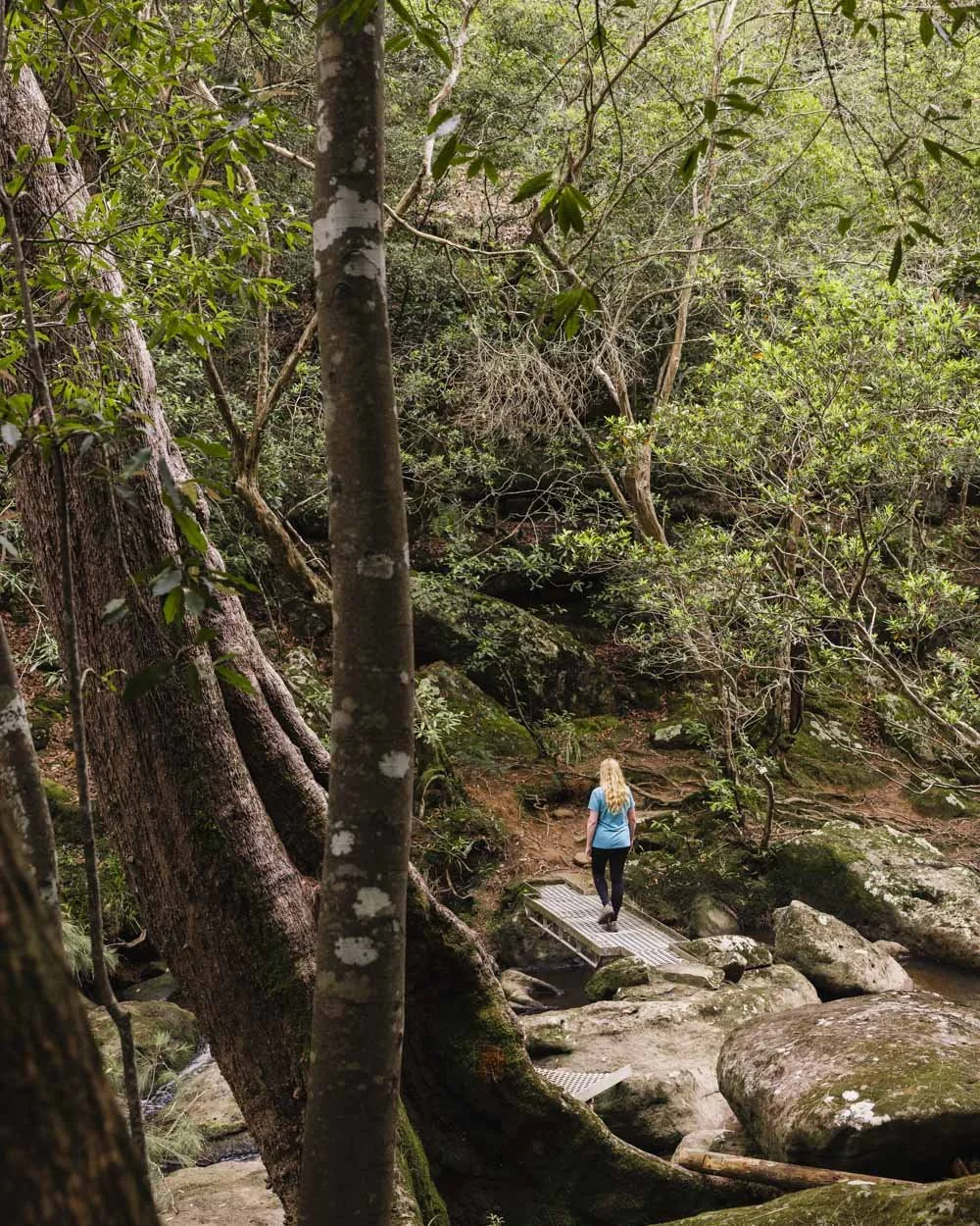 Bomaderry Creek: overhangs, mossy gullies and wild swimming in Nowra ...