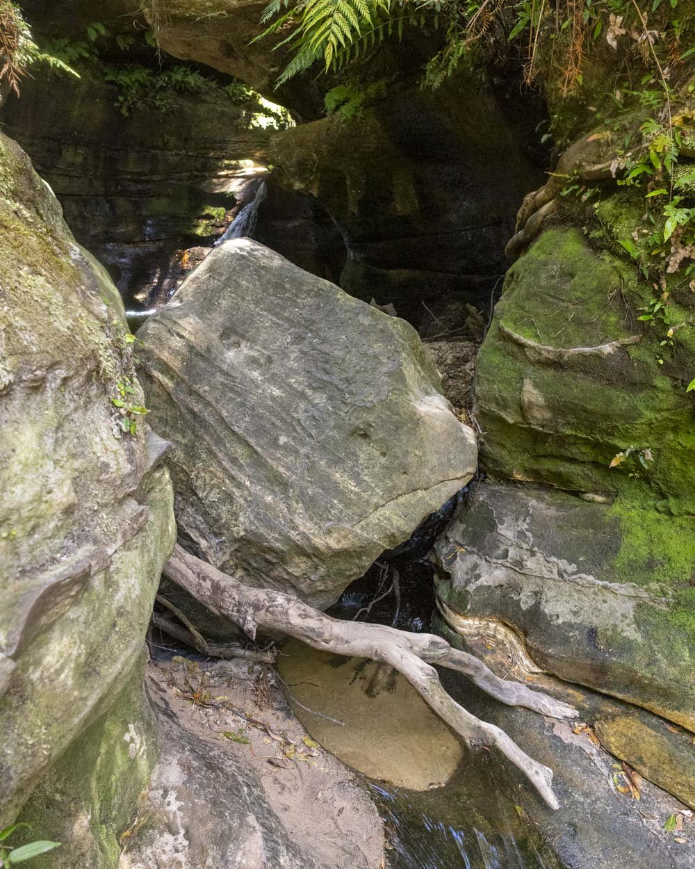 Asmodeus Pool: the hidden canyon waterfall at Wentworth Falls — Walk My ...