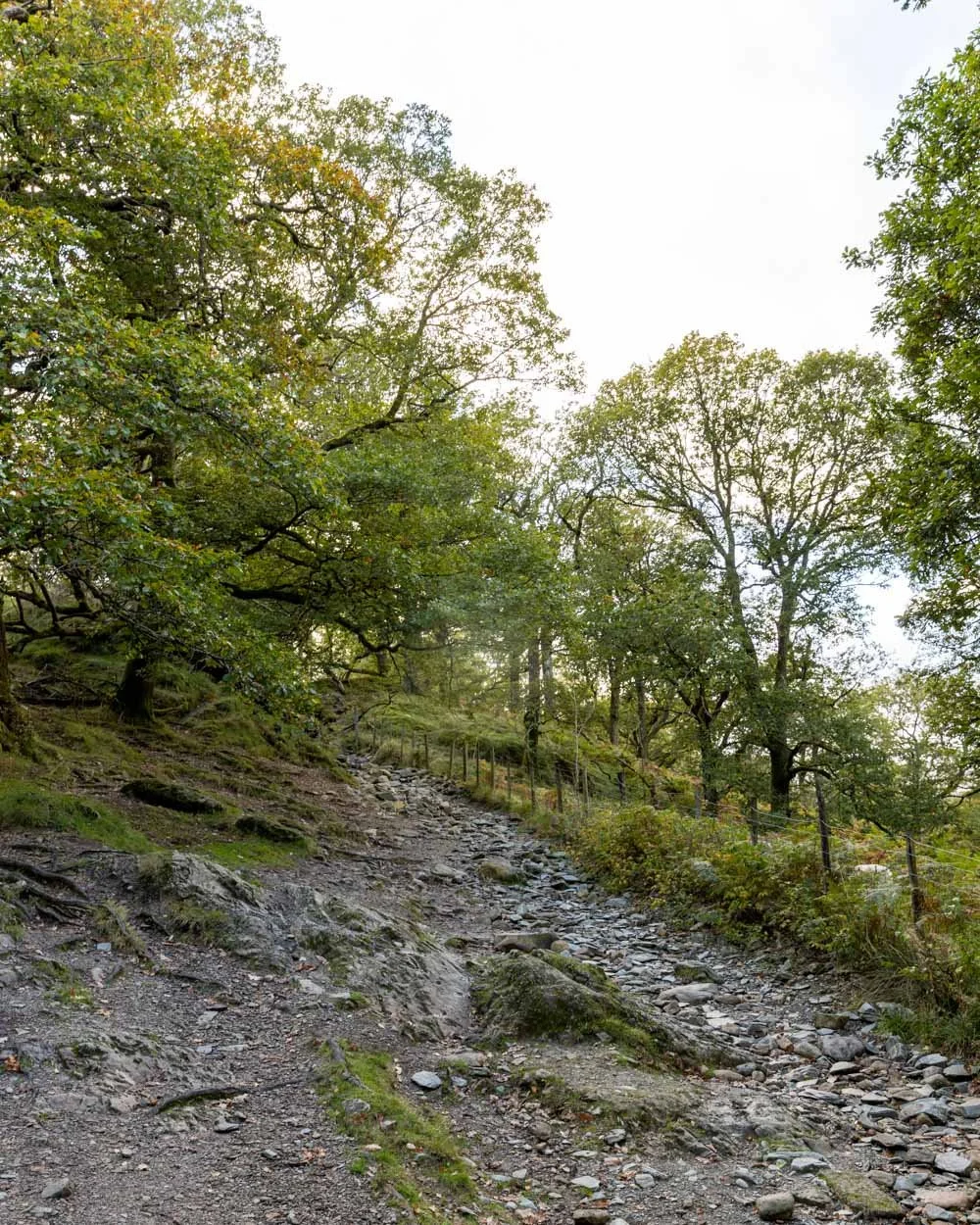 Rydal Cave: the short route plus a hidden cave nearby — Walk My World