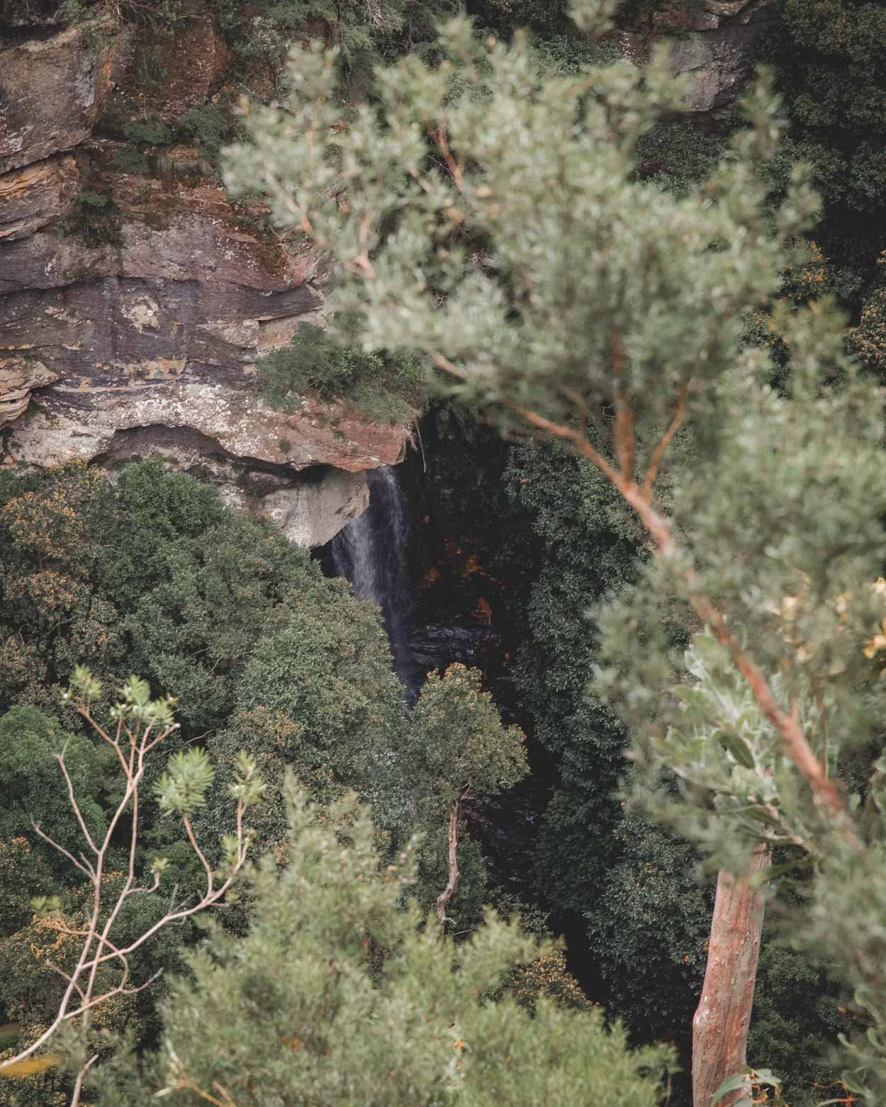 The magic of wild swimming at Empress Falls — Walk My World