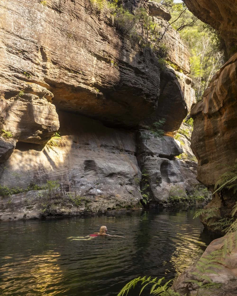 Read this before taking on the magnificent Wollangambe Canyon One ...