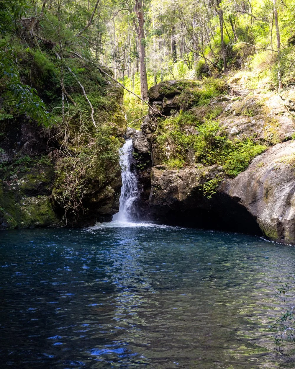 Potoroo Falls: a stunning gorge waterfall swimming hole near Barrington ...