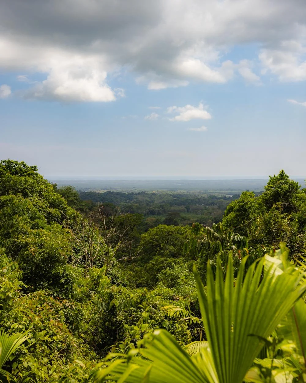 Rainmaker: hanging bridges and jungle swimming holes without the crowds ...