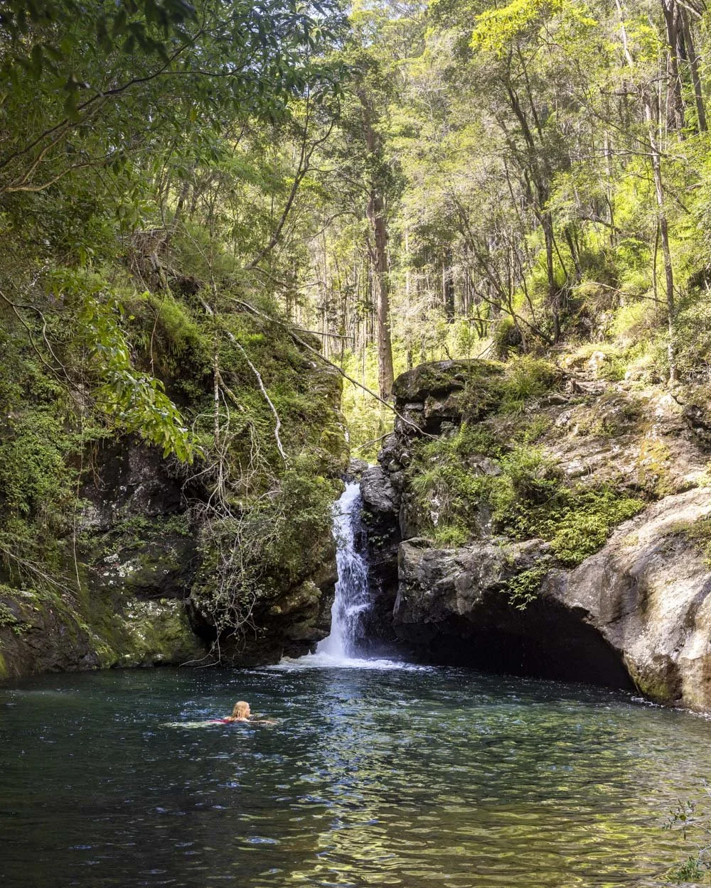Potoroo Falls: a stunning gorge waterfall swimming hole near Barrington ...