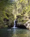 Potoroo Falls: a stunning gorge waterfall swimming hole near Barrington ...