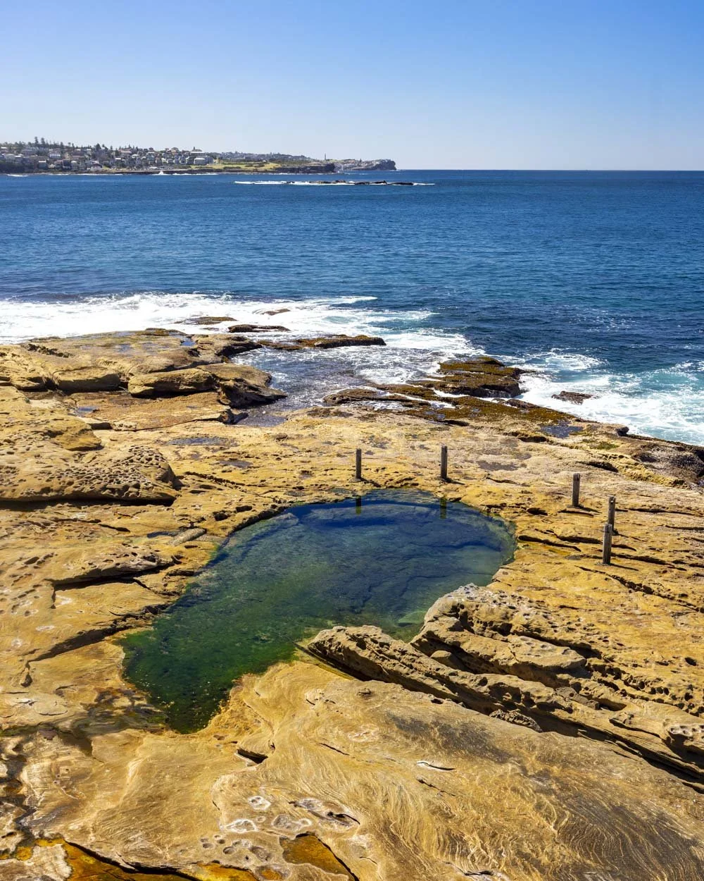 Rob Walker Rockpool: a gorgeous natural rockpool in Maroubra — Walk My ...