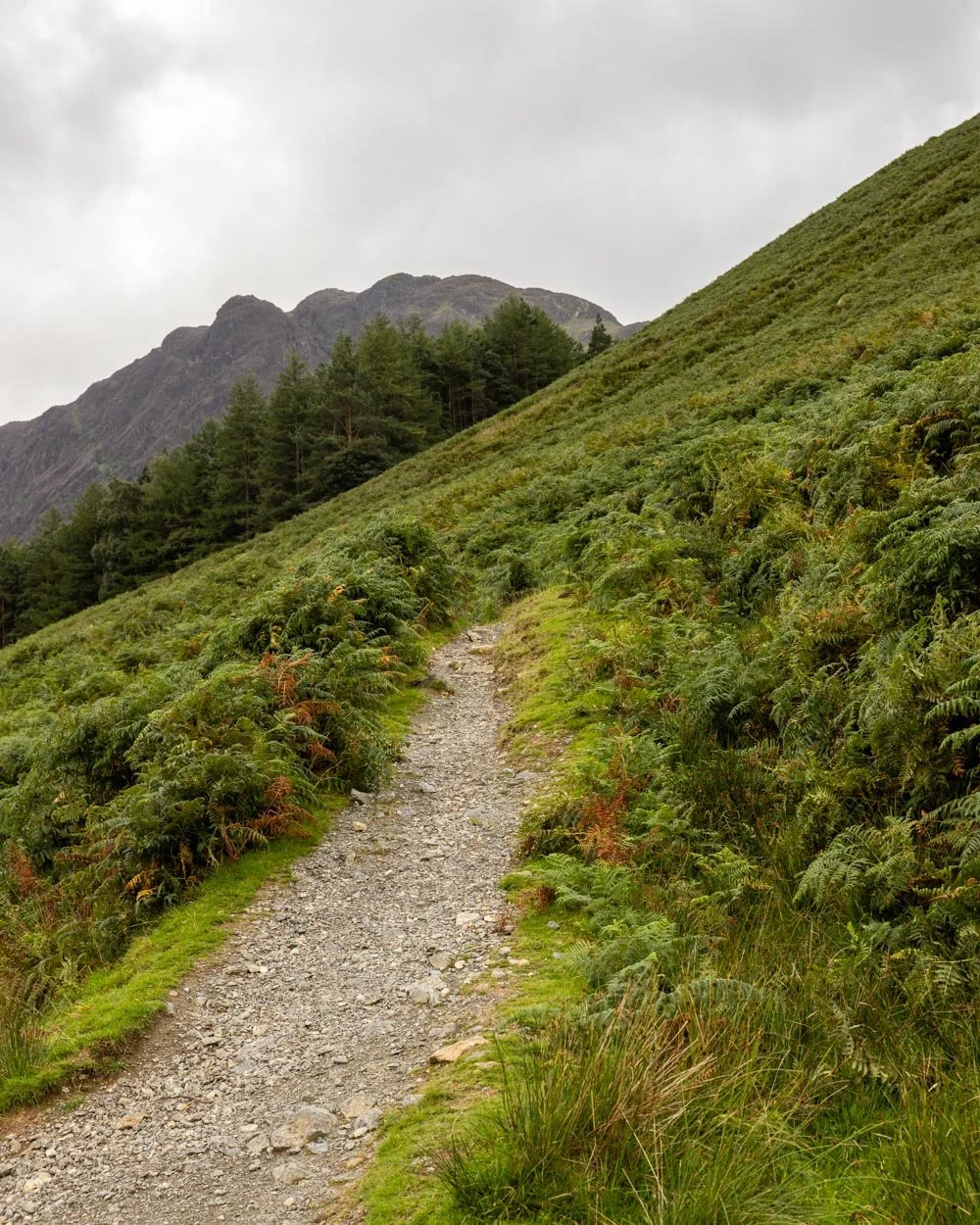 The Buttermere Lake Walk: spectacular views and secret swimming holes ...