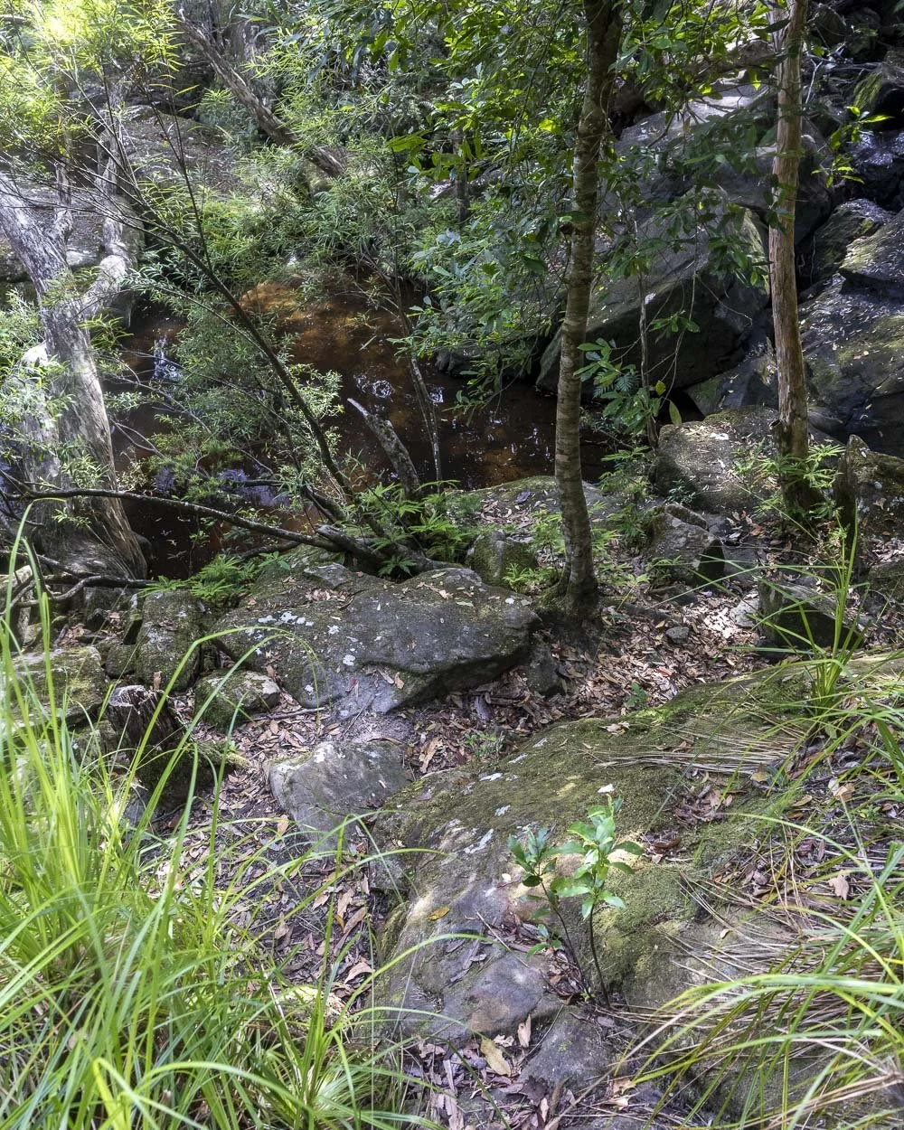 Girrakool Falls: a gorgeous waterfall and plunge pool on the Central ...