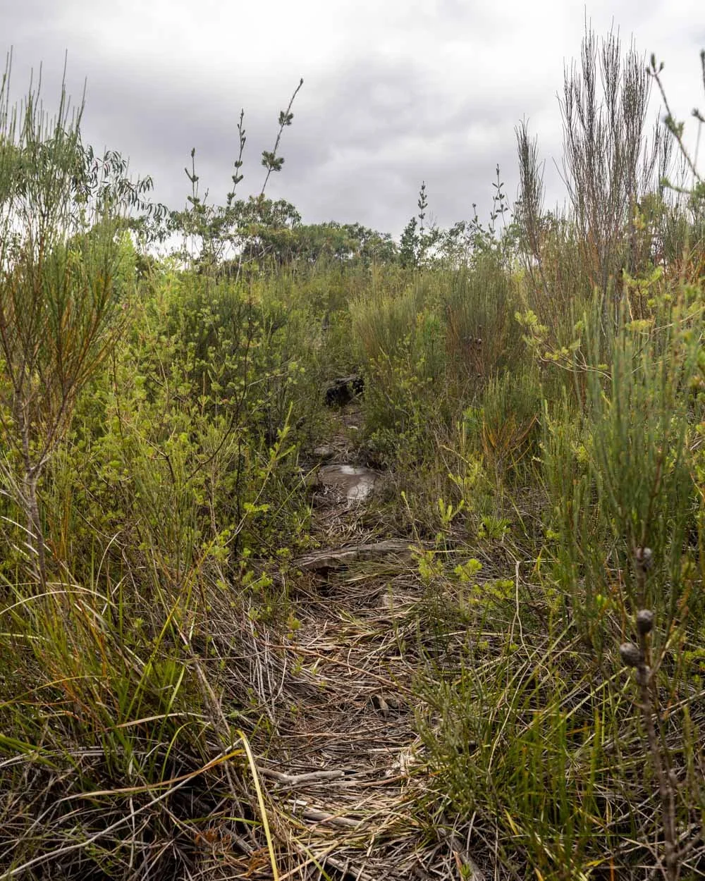 Refuge Bay: an amazing beach waterfall and secret infinity pool — Walk ...
