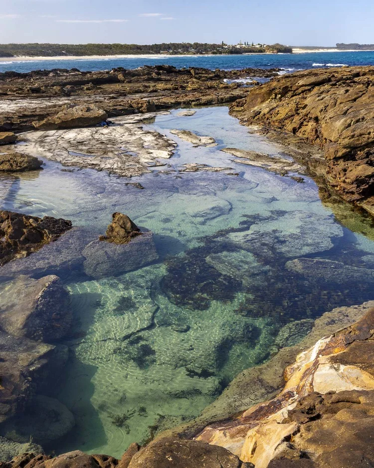 Mermaid Pool: a spectacular hidden rockpool close to Jervis Bay — Walk ...