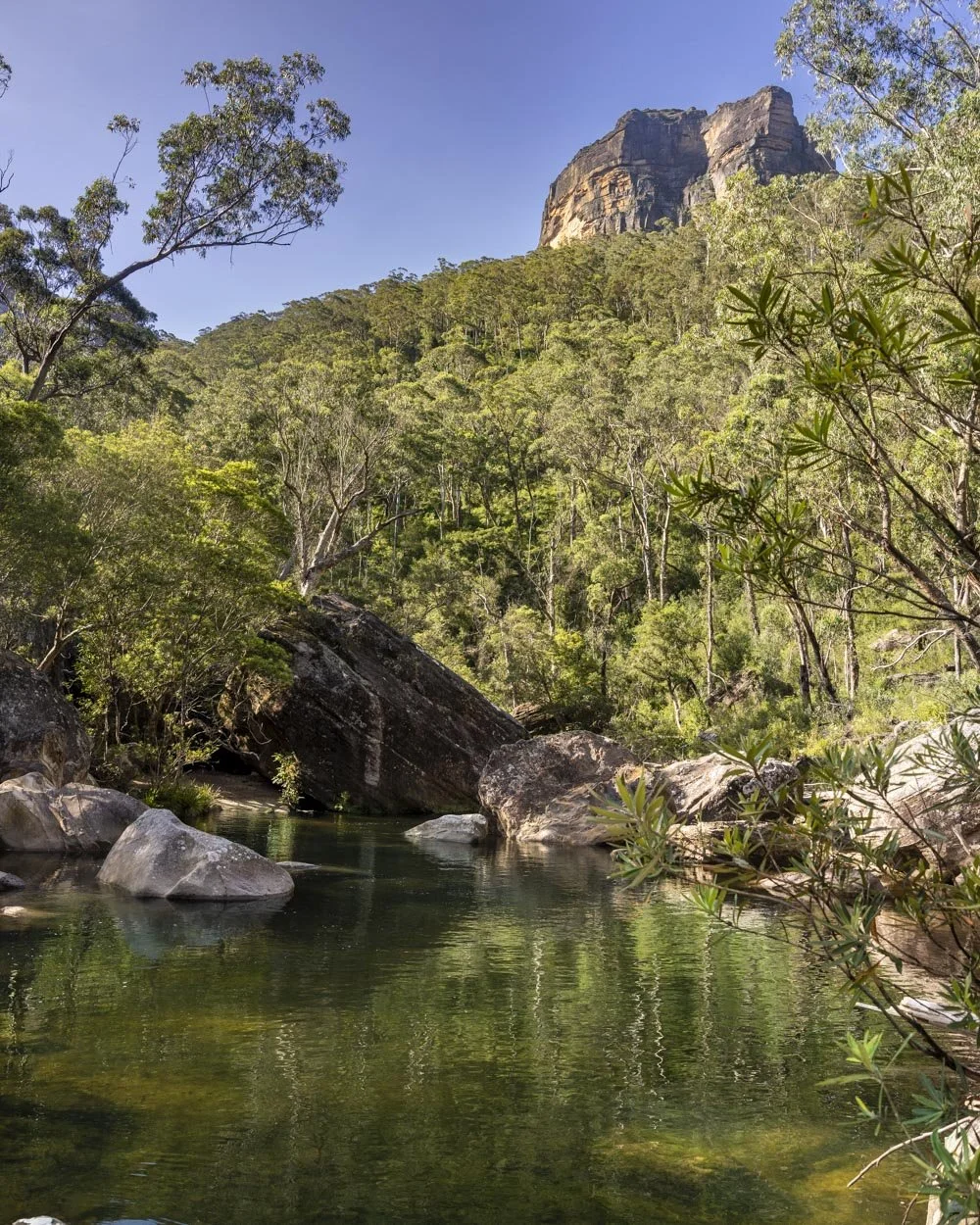 The magical swimming holes of Pierces Pass — Walk My World