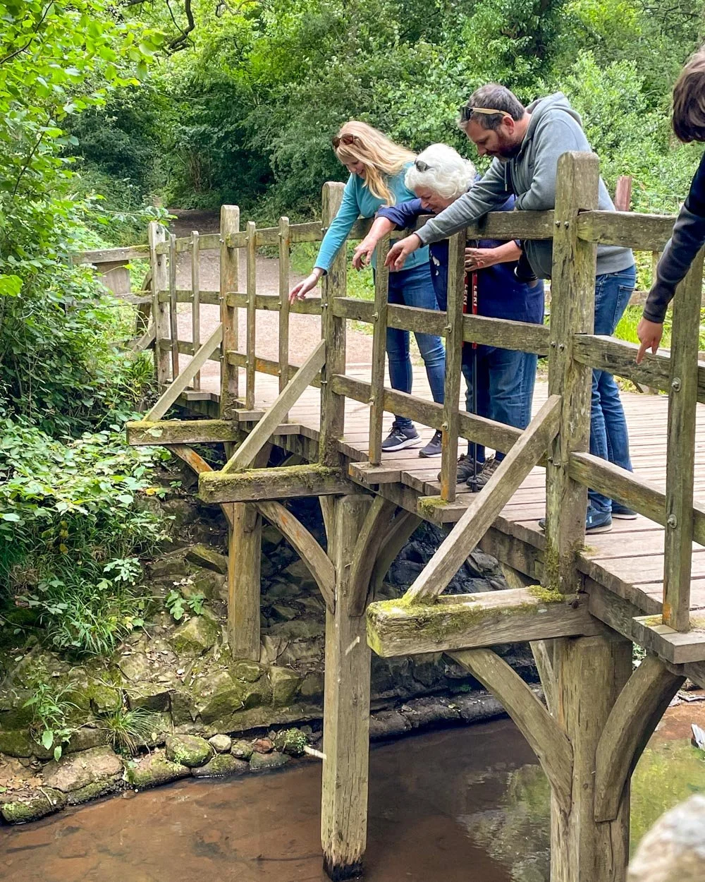 Winnie the Pooh Trail: a fun treasure hunt and Poohsticks Bridge — Walk ...