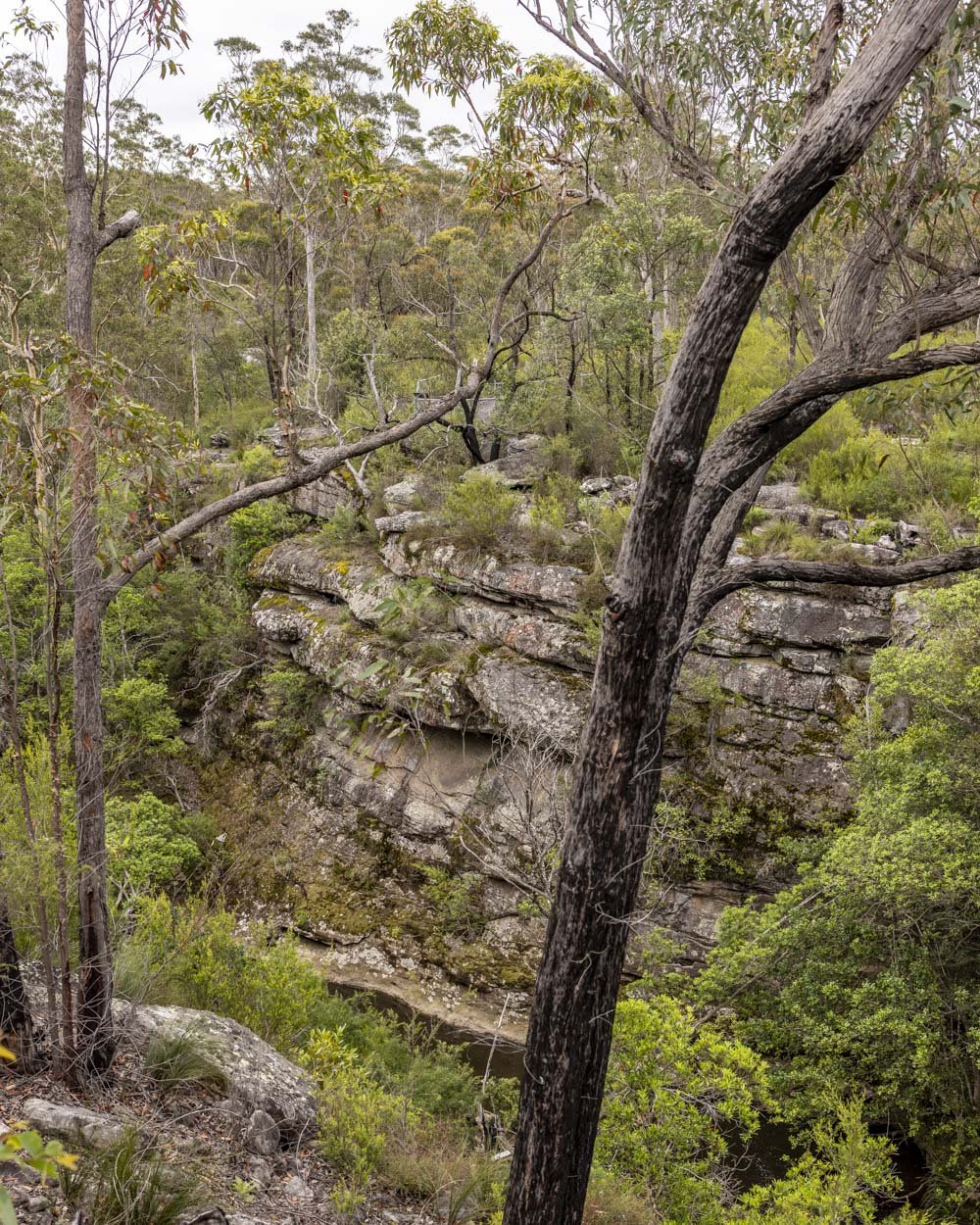 Bomaderry Creek: overhangs, mossy gullies and wild swimming in Nowra ...