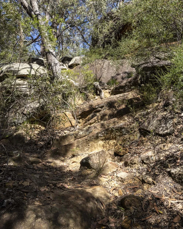 The Duck Hole: an easy Blue Mountains beach day — Walk My World