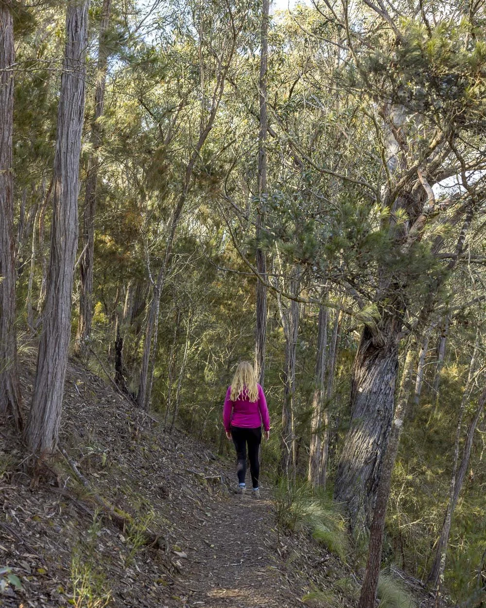 Bungonia Green Track: rustic caves & spectacular views — Walk My World