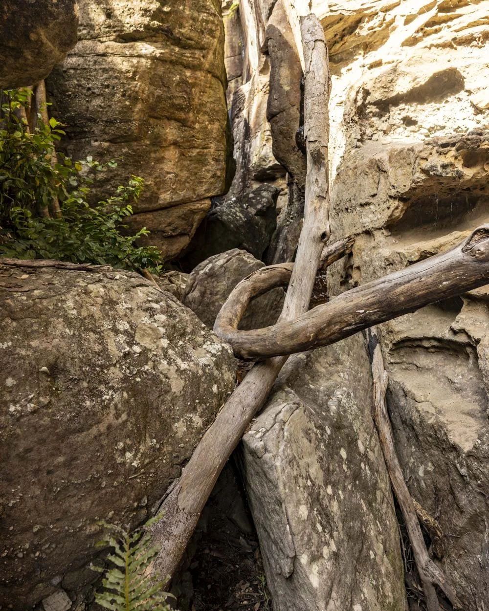 How to find the Bugong secret grotto near Nowra — Walk My World