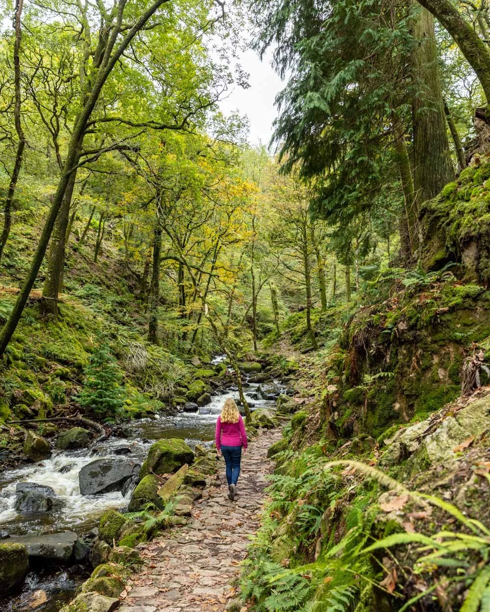 Stanley Ghyll Waterfall: one of the most atmospheric in the Lake ...