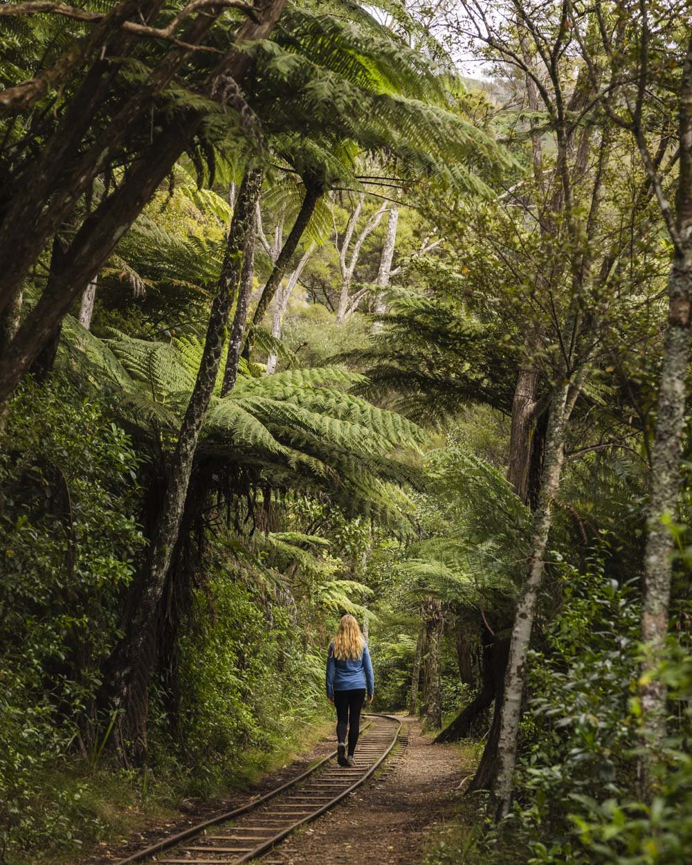 Karangahake Gorge Historic Walkway: the best bits and what to skip ...