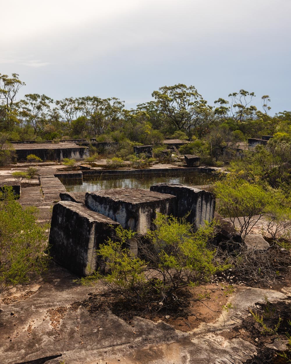 Exactly how to find the Central Coast's incredible Mega Cave — Walk My ...