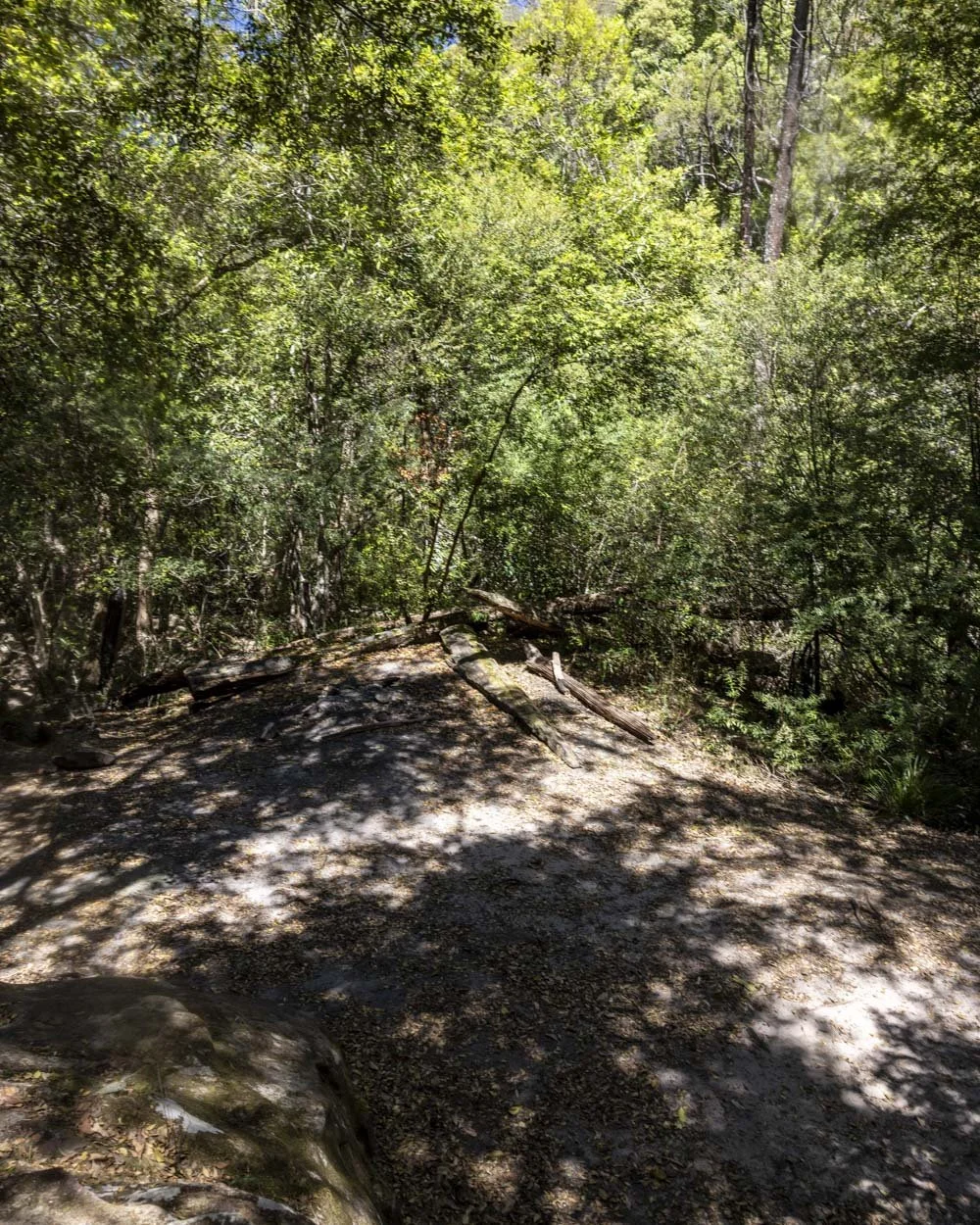 Sharks Head Cave Circuit: epic swimming holes and a hidden cave — Walk ...