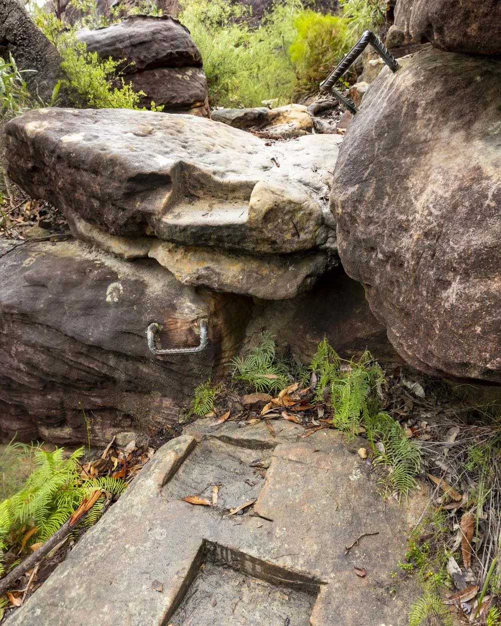 Turners Fire Trail Circuit: a fun walk with via ferrata style rungs ...