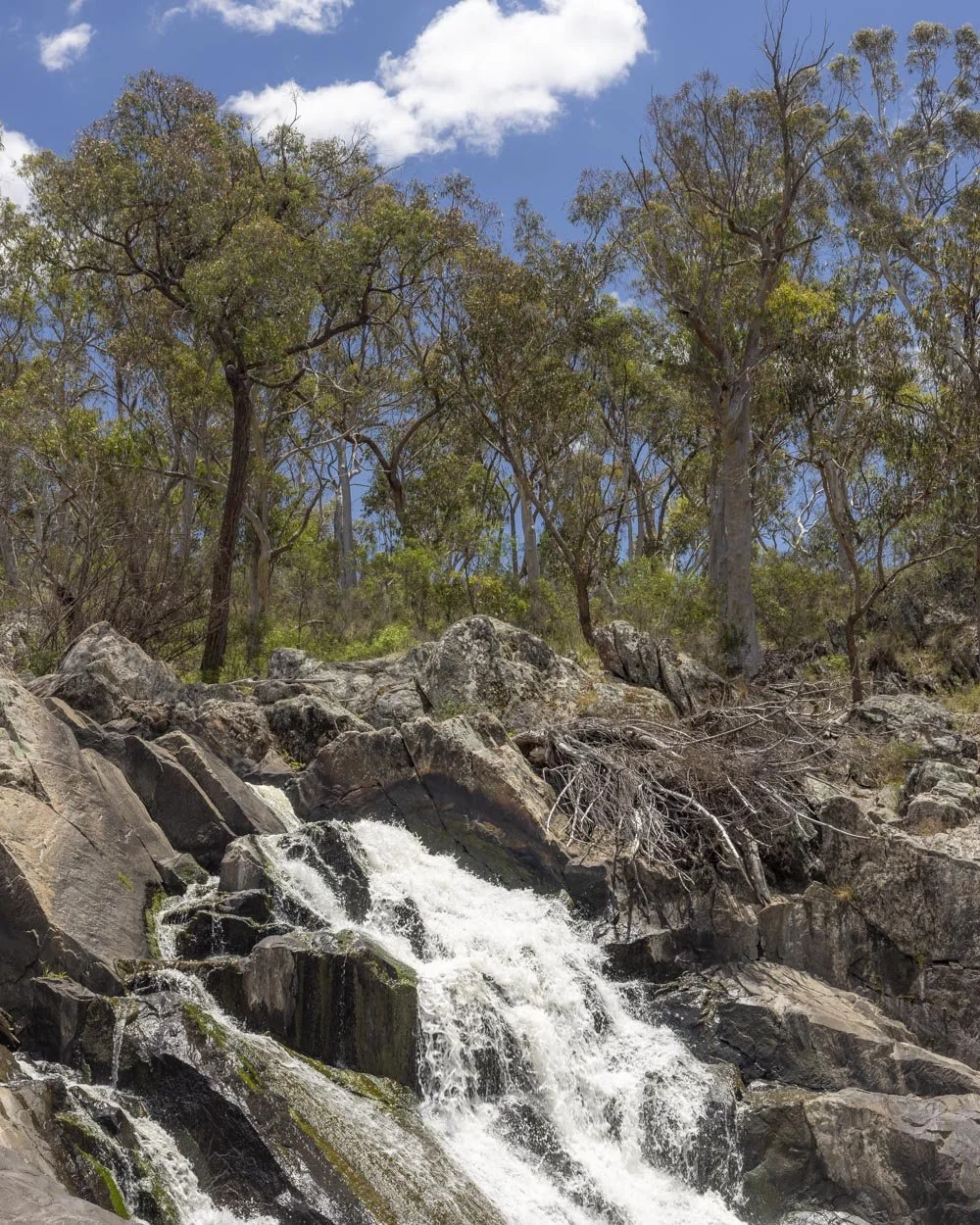 The Falls Water Falls: the most beautiful wild swimming spot in Orange ...