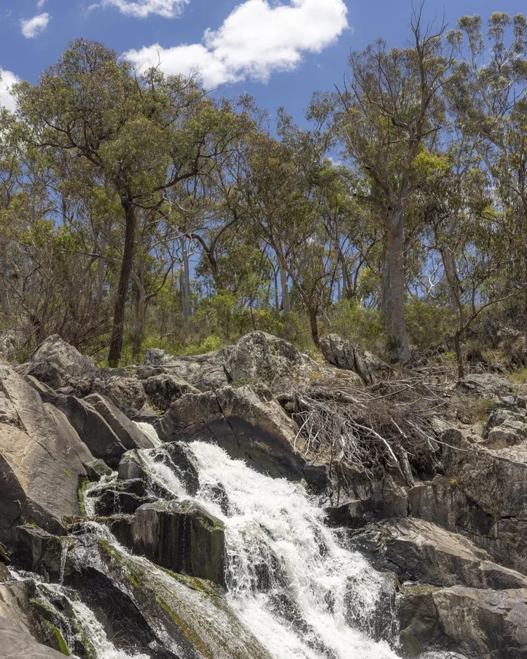The Falls Water Falls: the most beautiful wild swimming spot in Orange ...