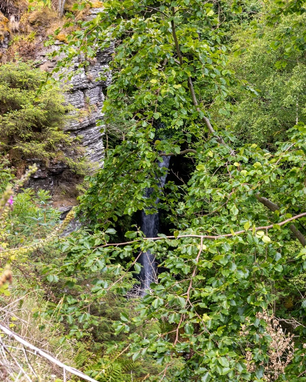 Spout Force: the Lake District's hidden gorge waterfall — Walk My World