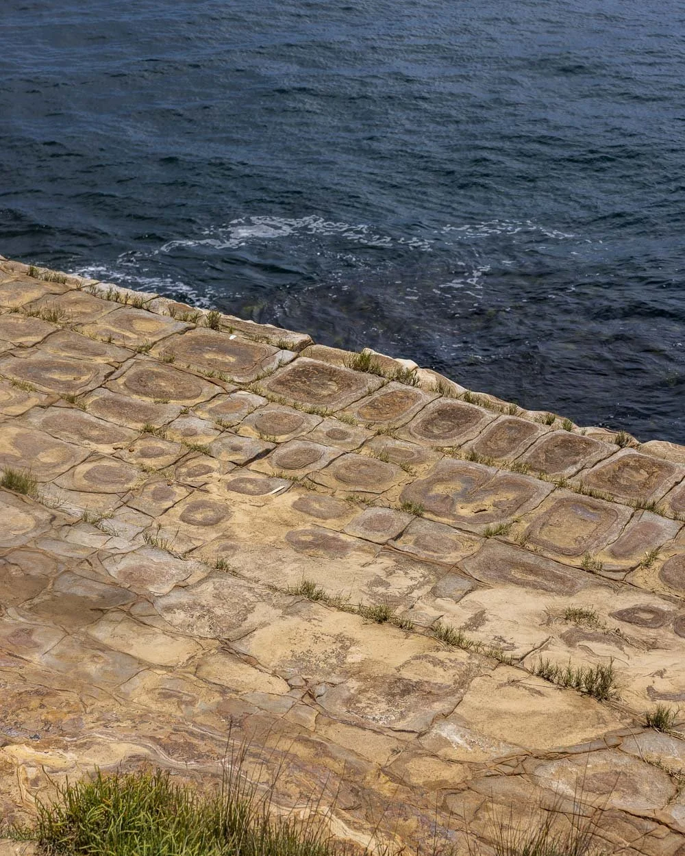 Bouddi Coastal Walk: is this the best coastal walk in NSW? — Walk My World
