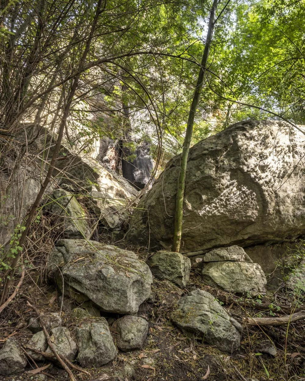 How to find the Bugong secret grotto near Nowra — Walk My World