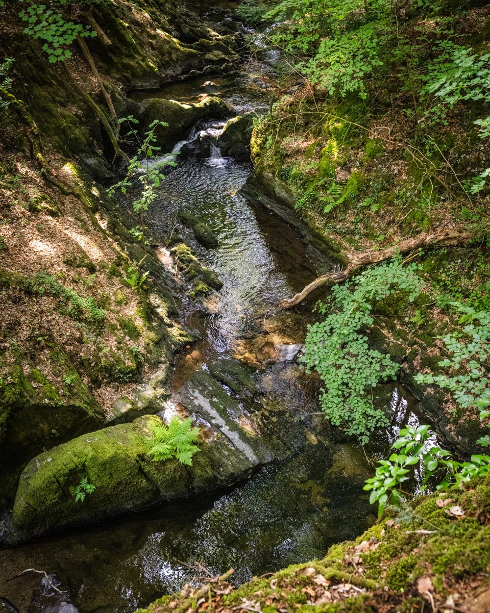Ffynone Waterfall: wild swimming in Pembrokeshire's hidden fairy grotto ...