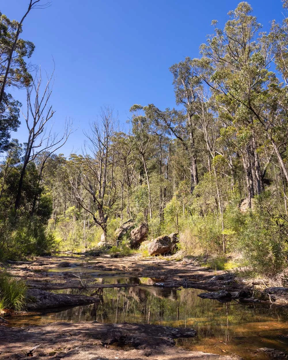Hell Hole Falls: a spectacular waterfall swimming hole near Jervis Bay ...
