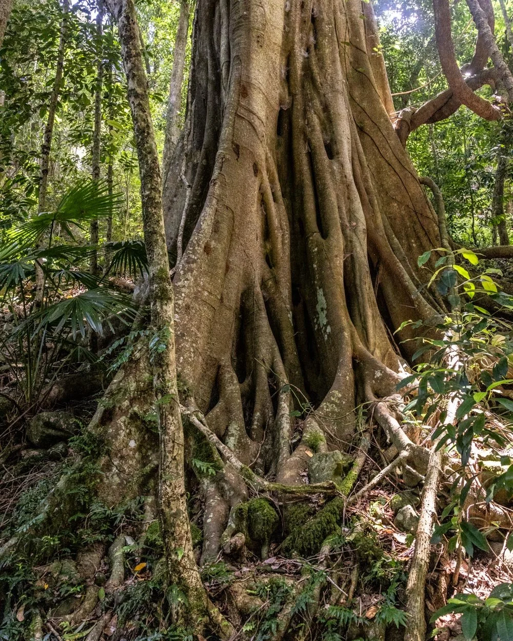 How to find Berry's secret waterfall — Walk My World