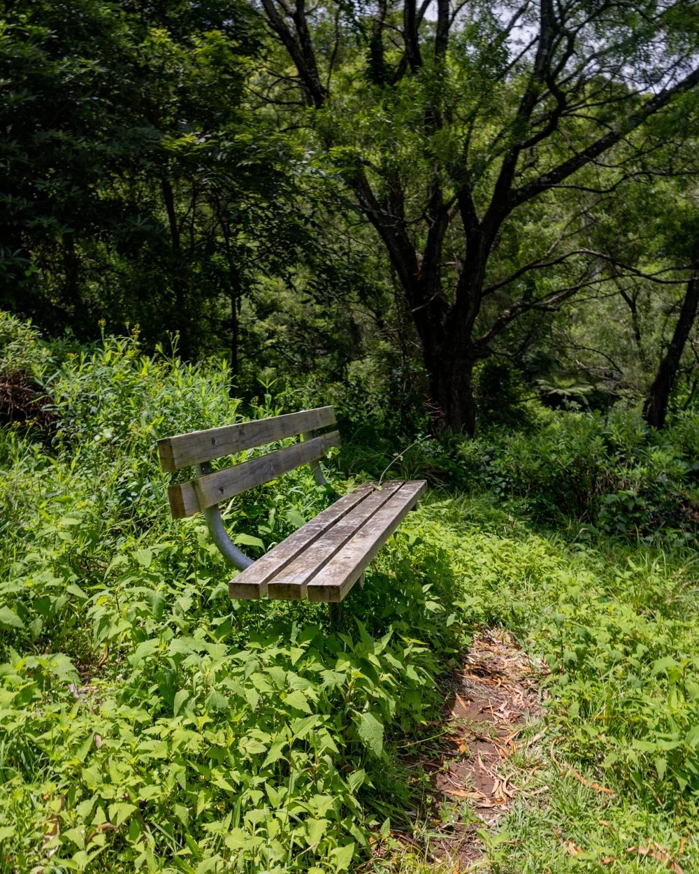 How to find Berry's secret waterfall — Walk My World