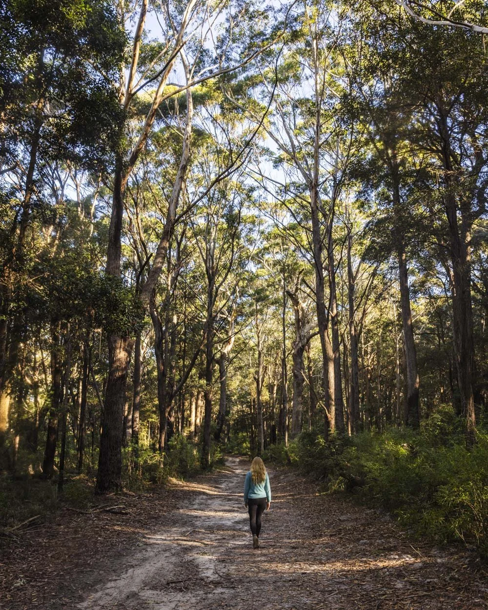 Steamers Beach: a wild & secluded beach in Jervis Bay — Walk My World