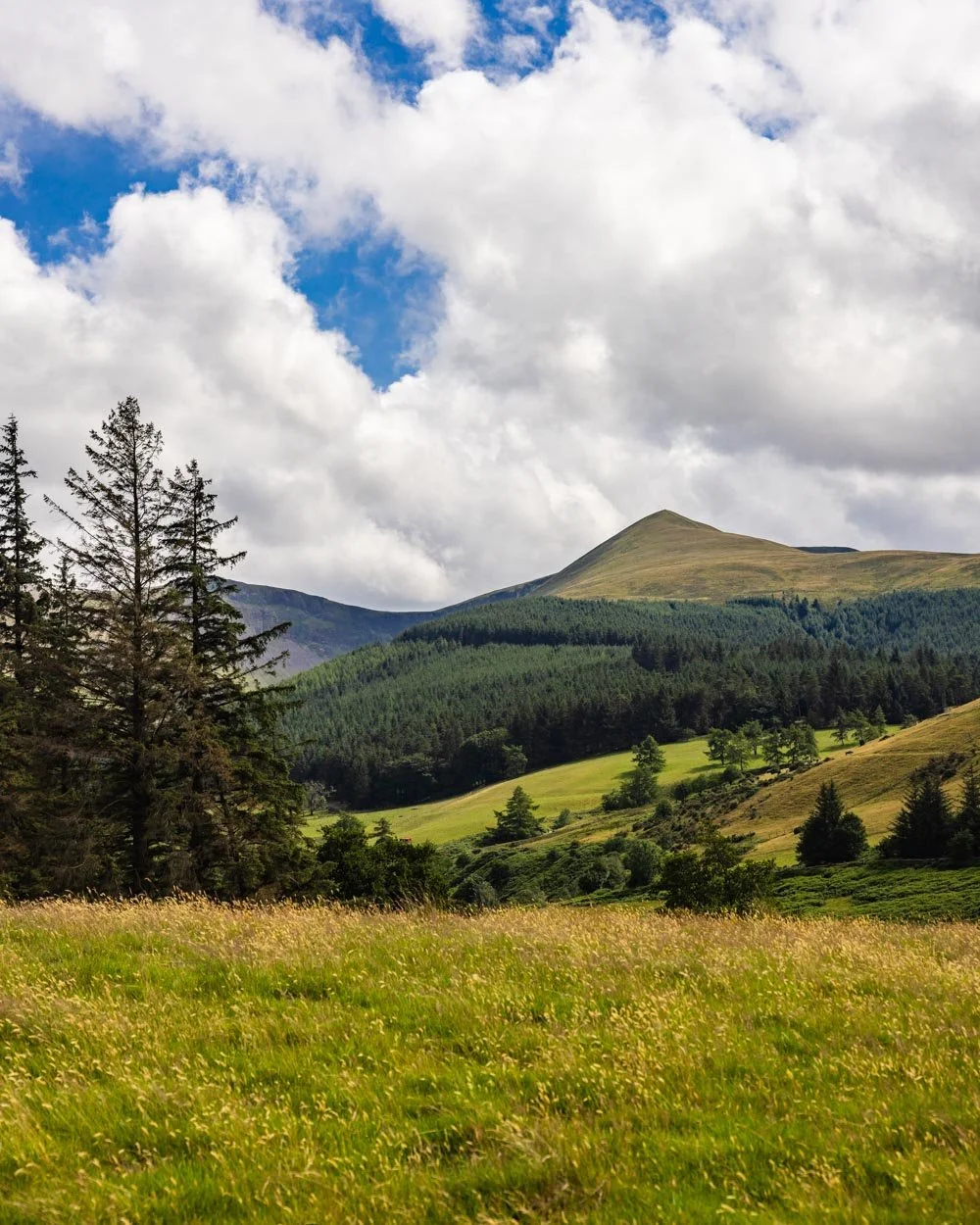 Spout Force: the Lake District's hidden gorge waterfall — Walk My World