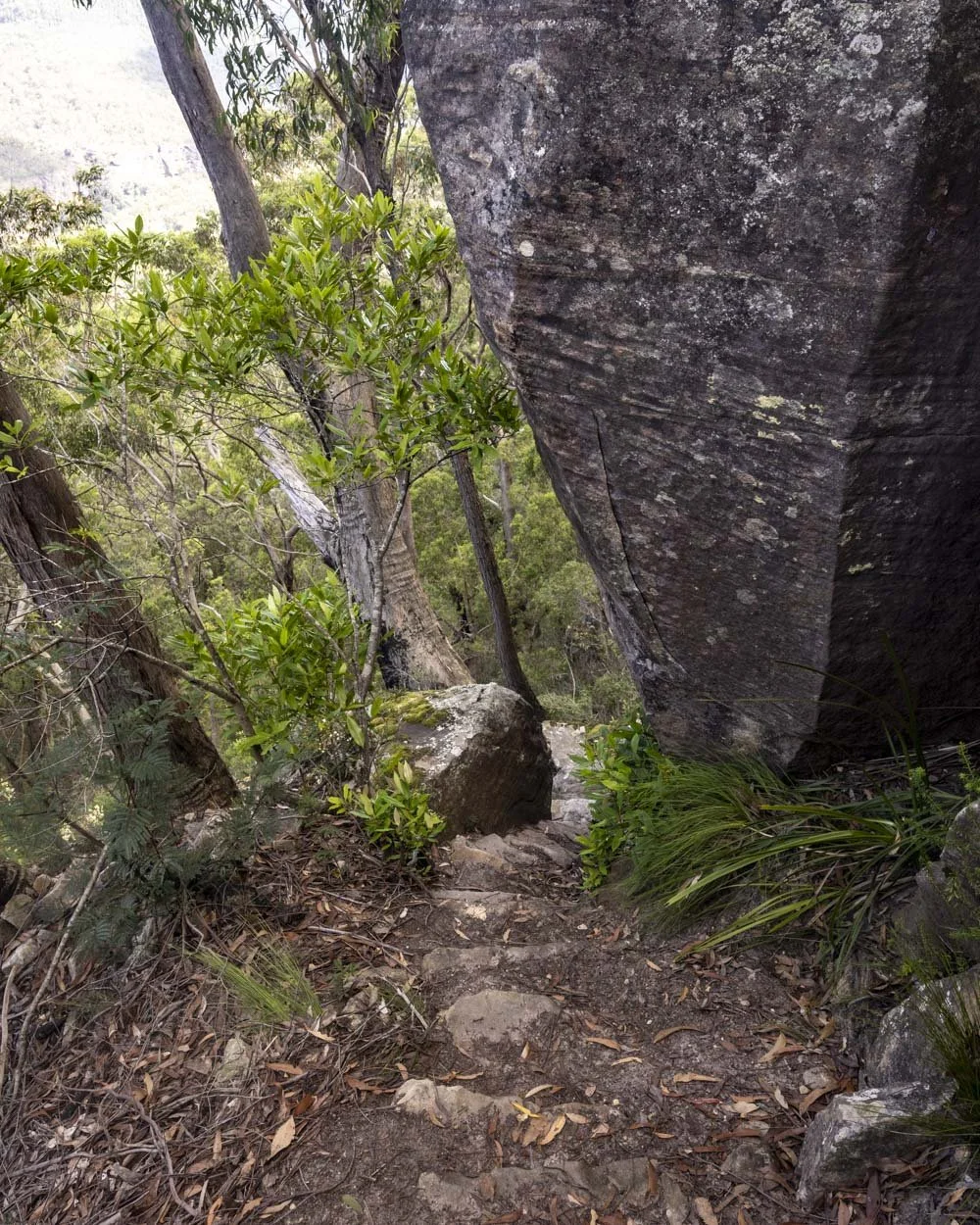 Bundanoon Creek: how to find the secret Fairy Canyon Falls — Walk My World