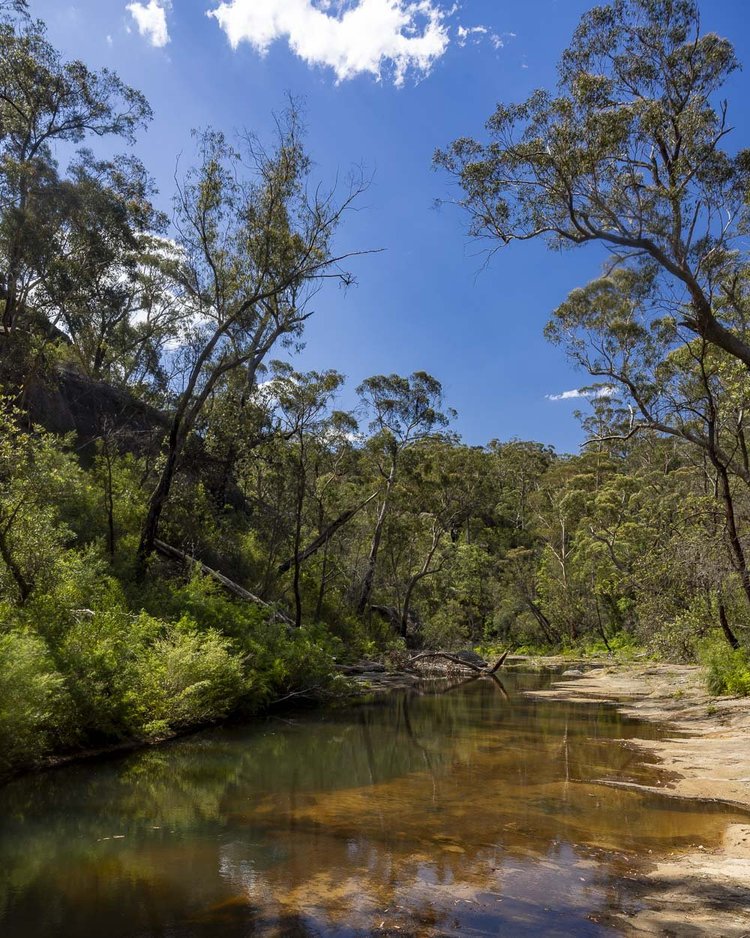 Yerrinbool Falls: a beautiful secluded waterfall in the Southern ...